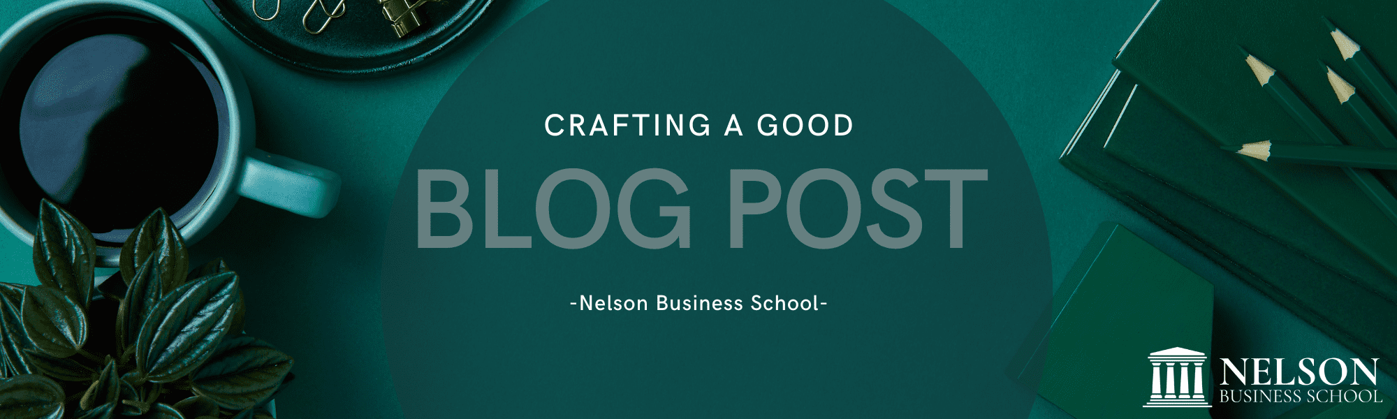 Blog - Nelson Business School